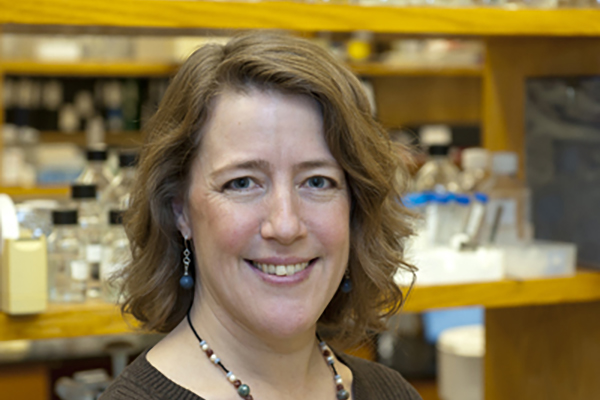 Cole appointed to OSU Board of Trustees Committee | Department of ...