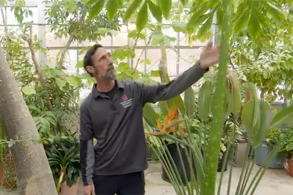 David Snodgrass recognized by ASC Staff Advisory Council | Department ...