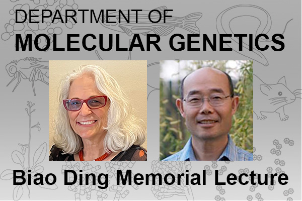 Biao Ding Memorial Lecture | Department of Molecular Genetics