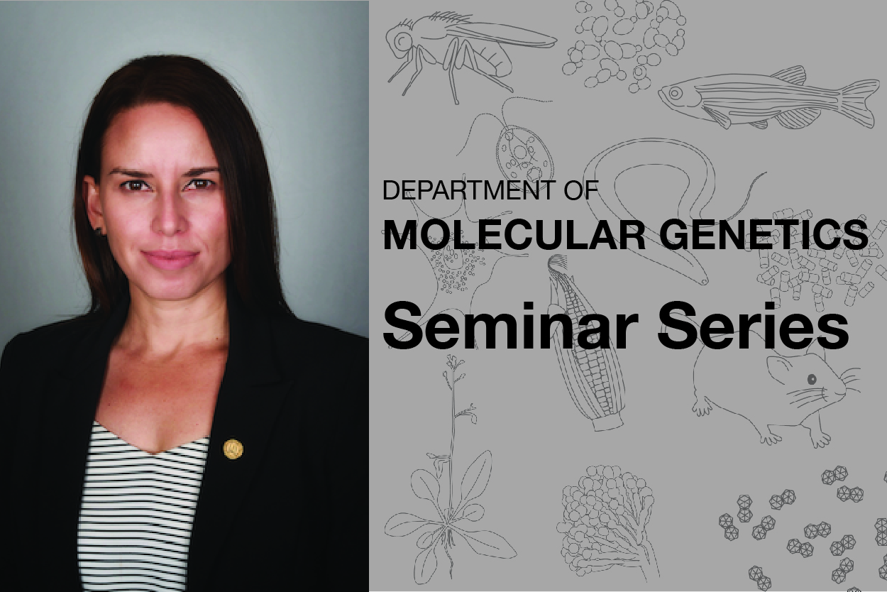 Molecular Genetics Seminar: Dr. Greetchen Diaz | Department of ...