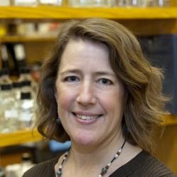 Susan Cole wins award for excellence in teaching | Department of ...