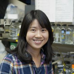 Ivy Huang's Instagram, Twitter & Facebook on IDCrawl