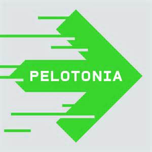 Nine undergraduates in MG labs earn Pelotonia Scholarships | Department ...