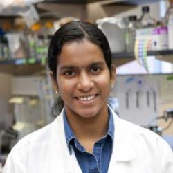 Nitya Subrahmanian, PCMB graduate student in the Hamel lab, was awarded ...