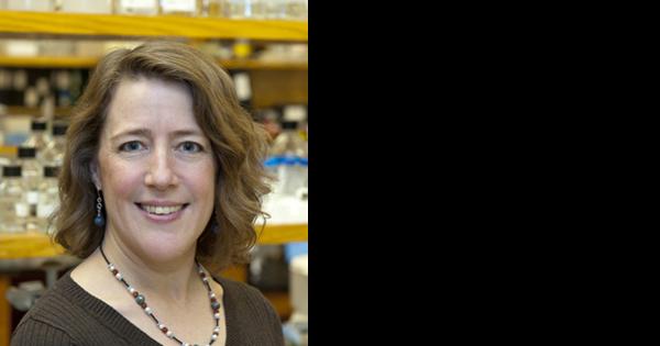 Susan Cole featured on Voices of Excellence | Department of Molecular ...