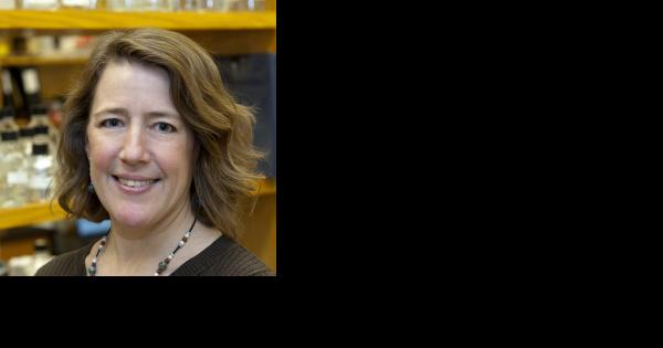 Susan Cole wins award for excellence in teaching | Department of ...