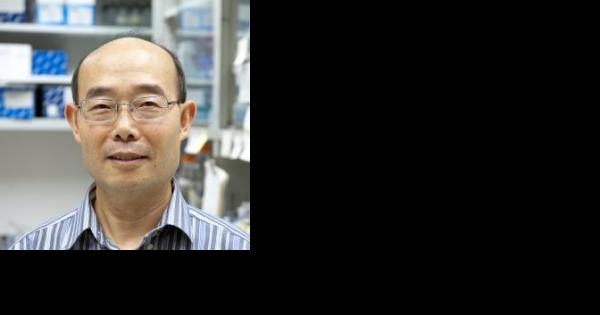Biao Ding awarded a new grant from USDA. | Department of Molecular Genetics
