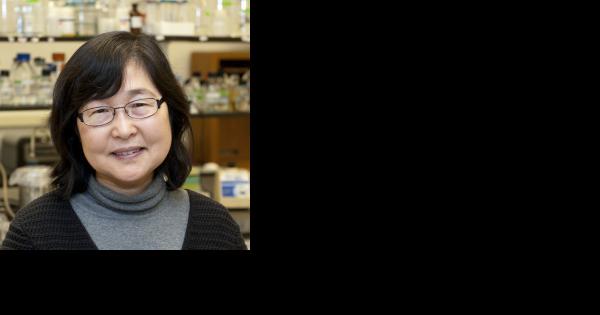 Park promoted to full professor. | Department of Molecular Genetics