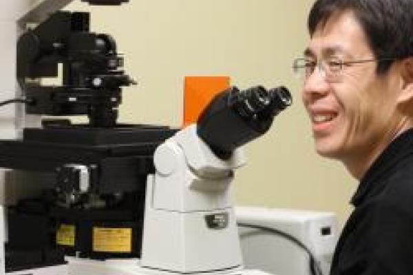 New NIH grant to Jian-Qiu Wu | Department of Molecular Genetics